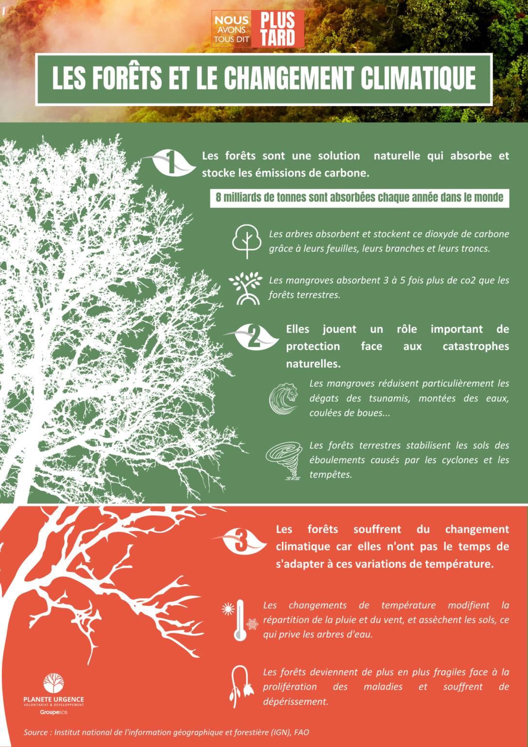 Les forêts et le changement climatique - Planète Urgence
