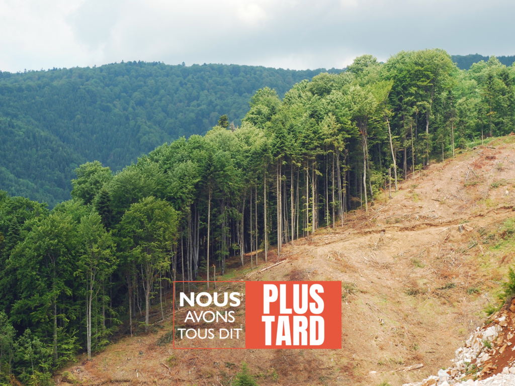 Déforestation : causes et conséquences - Planète Urgence