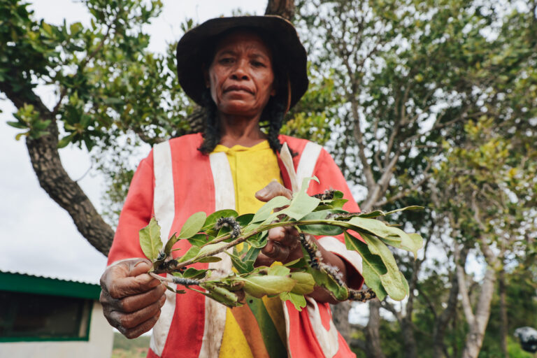 Les communautés locales : les protecteurs de la forêt de Tapia ...